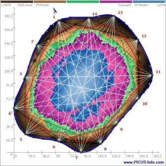 Diagnostic Assessment - Arbor Australis Consulting